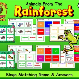 Amazon Rainforest Animals Bingo Game, Rainforest Animals Matching ...