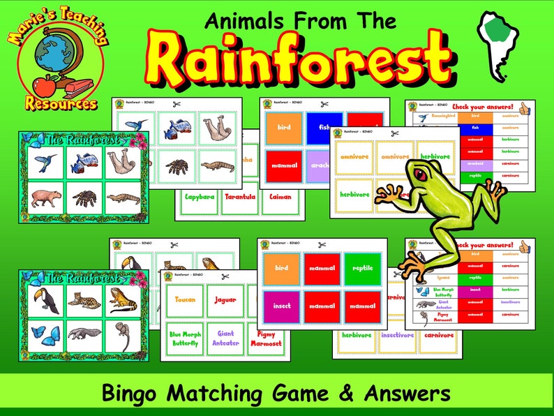 Amazon Rainforest Animals Bingo Game, Rainforest Animals Matching ...