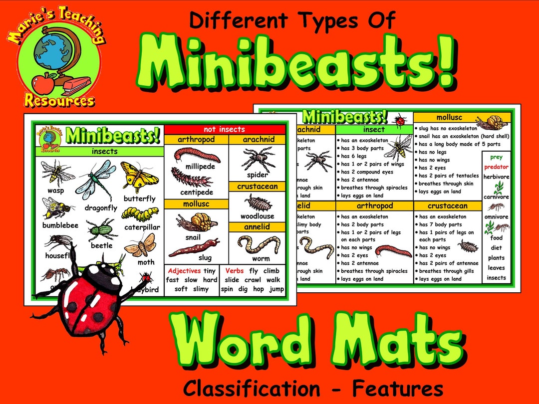 Minibeasts Insects Posters, Writing Prompts, Science Animal ...