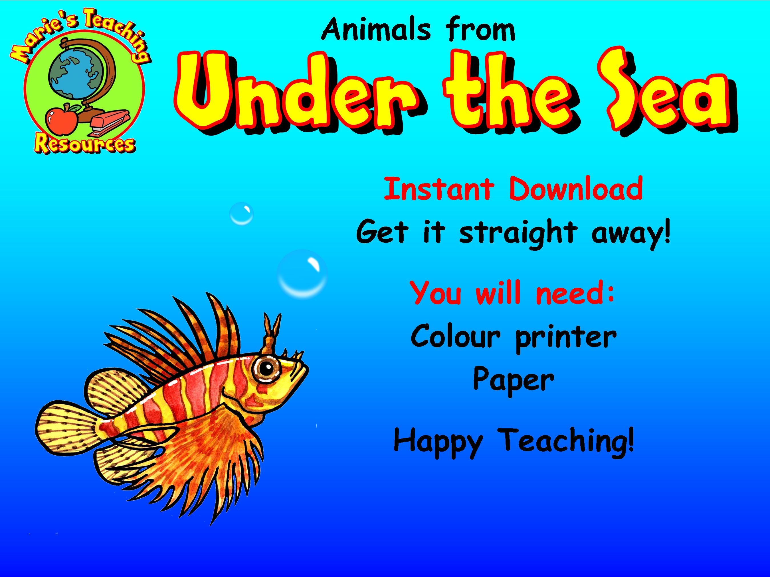 Ocean Sea Animals Fact Sheets, Science Animal Classification Teaching ...