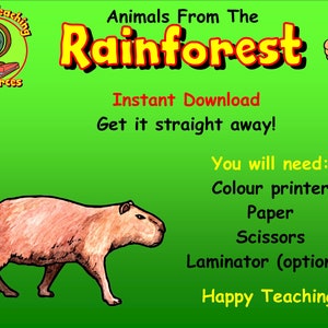 Amazon Rainforest Animals Bingo Game, Rainforest Animals Matching ...