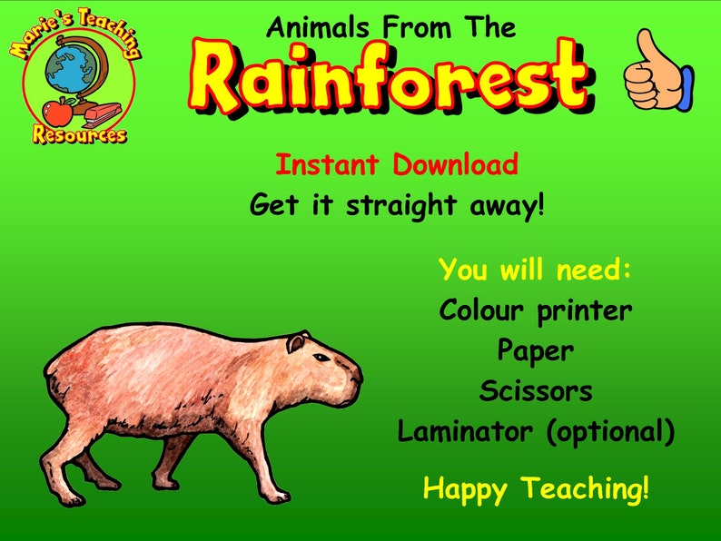 Animals Amazon Rainforest Teaching Resources, Matching Bingo Game ...