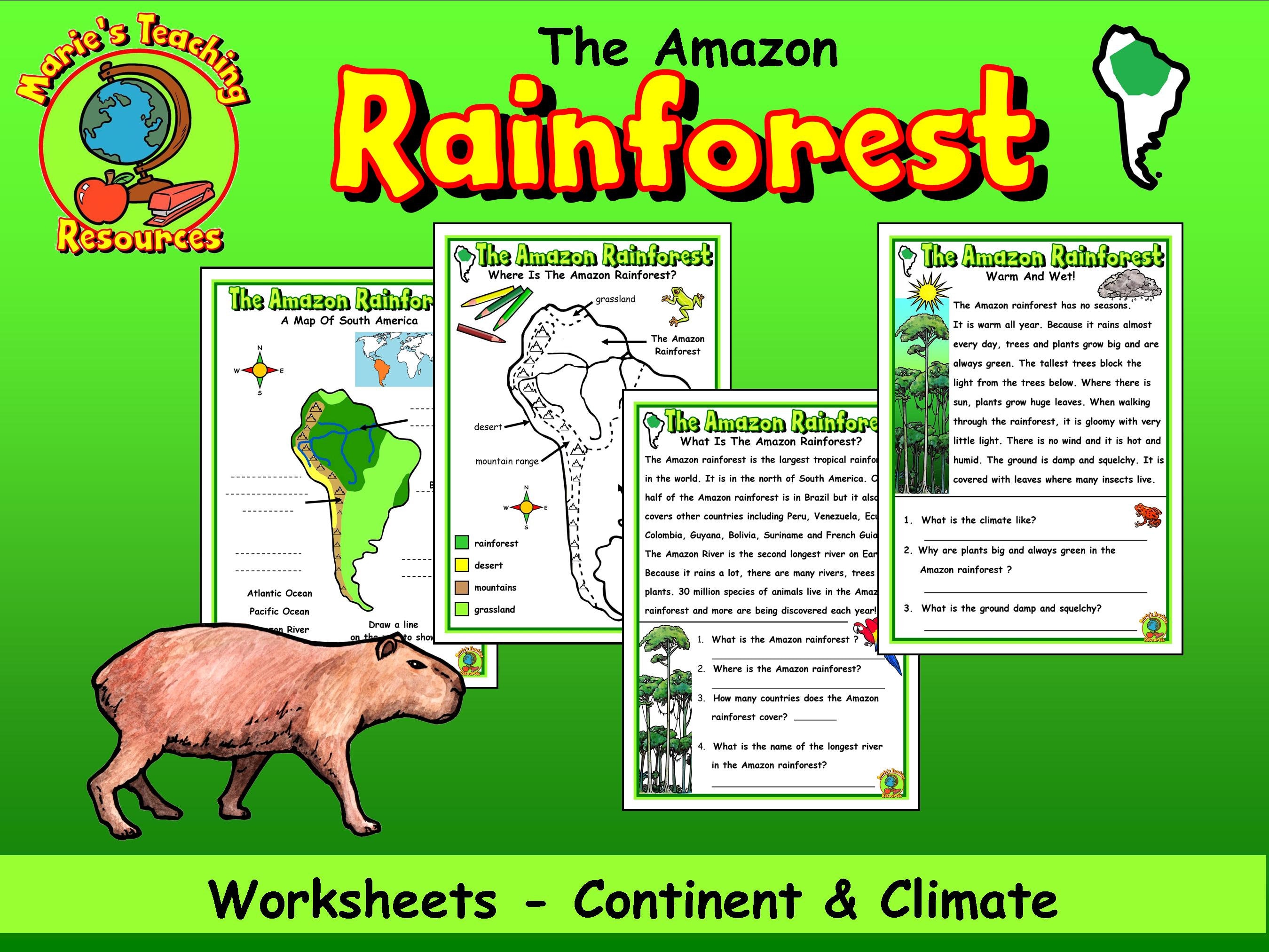 Amazon Rainforest Worksheets, Geography Climate and Environment ...