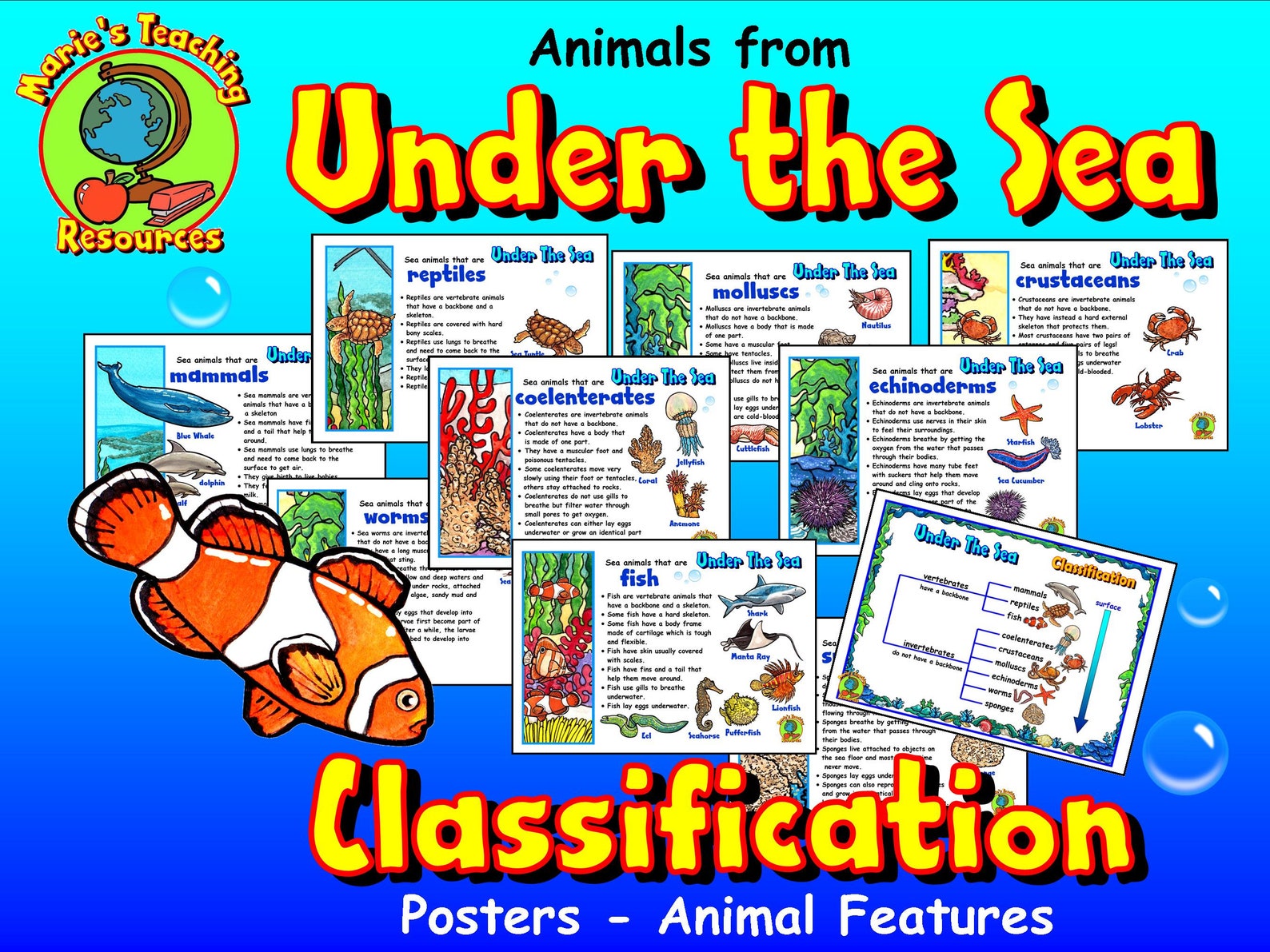 Under the Sea Animal Classification Posters, Ocean Sea Animals Teaching ...