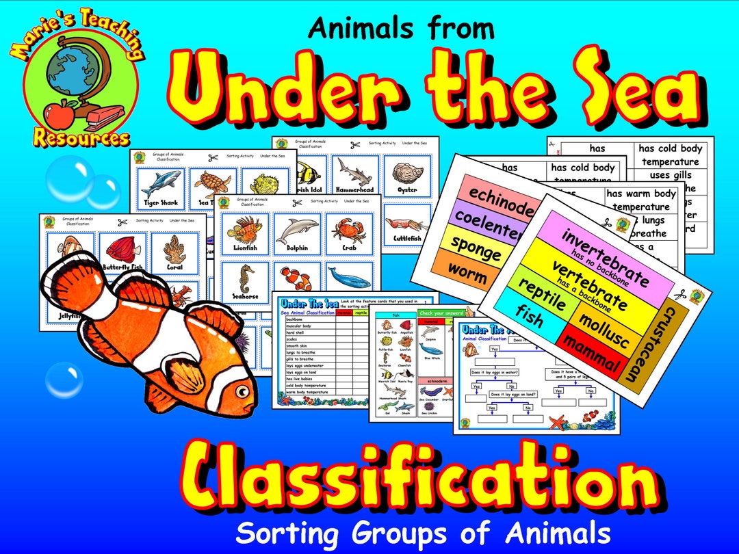 Sea Ocean Animal Classification Sorting Matching Activity, Science Animal Classification ...