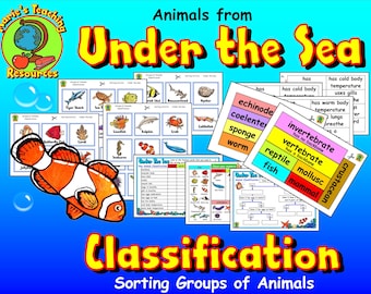Ocean Sea Animals Fact Sheets, Science Animal Classification Teaching ...