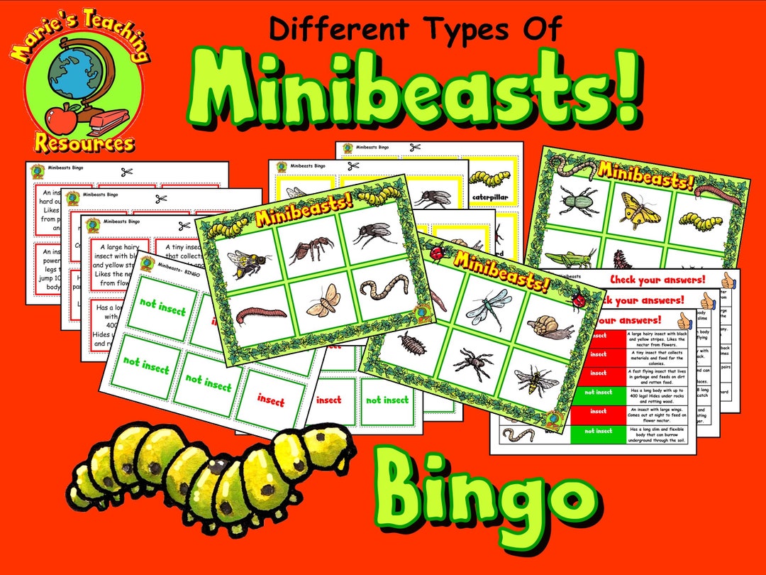Minibeasts Insects Bingo Game, Minibeasts Insects Matching Activity ...