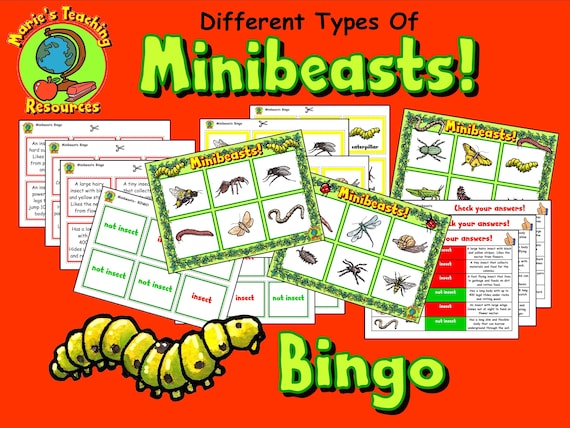 Minibeasts Insects Bingo Game Minibeasts Insects Matching | Etsy