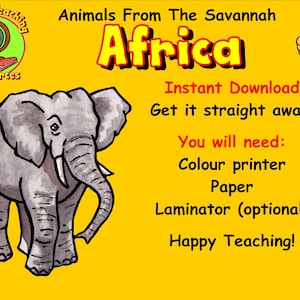 Animals From Africa Fact Sheets, Animals Flashcards, Science Animals ...