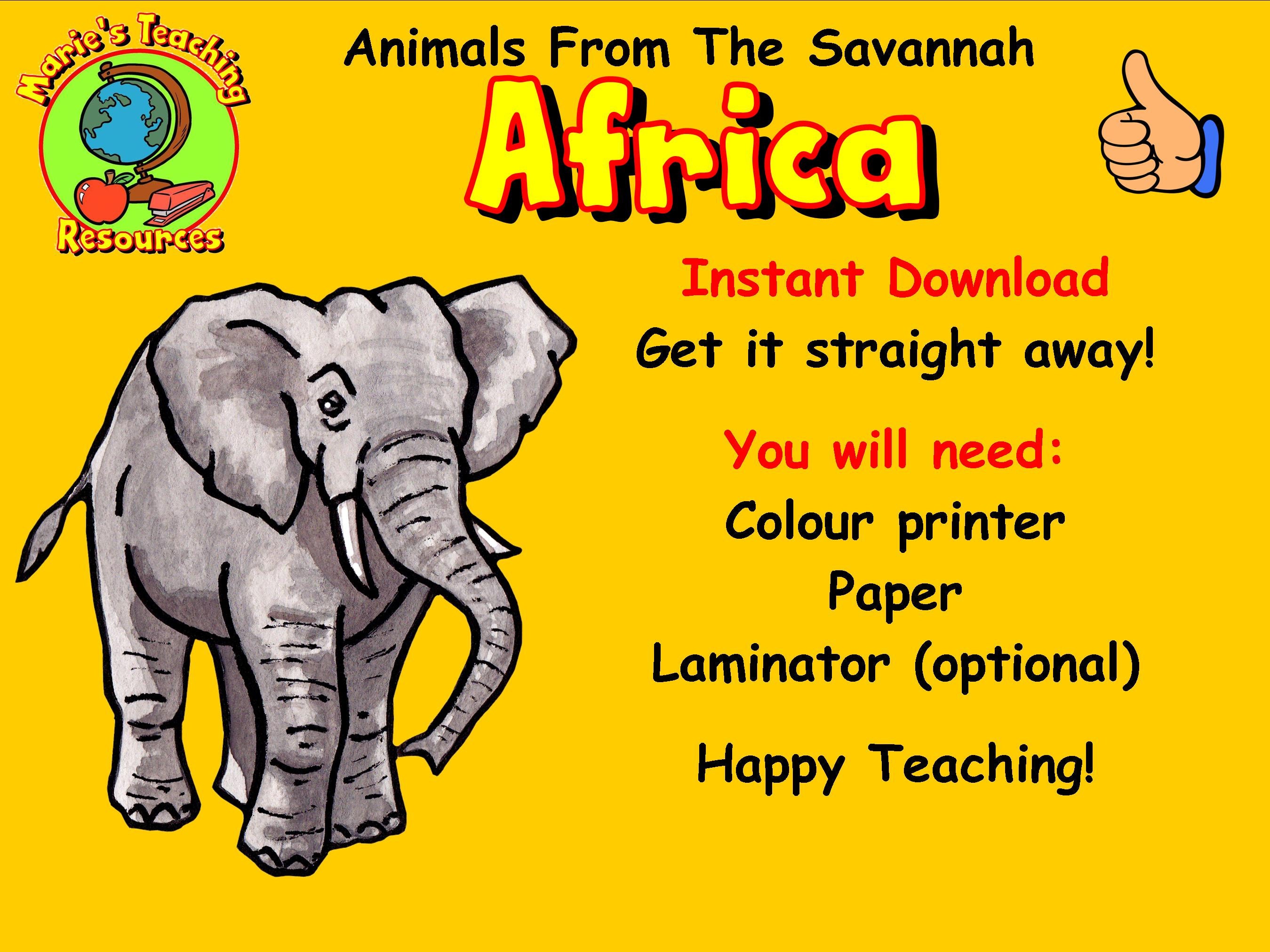 African Animals Fact Sheets, Names Groups Animal Classification Visual ...