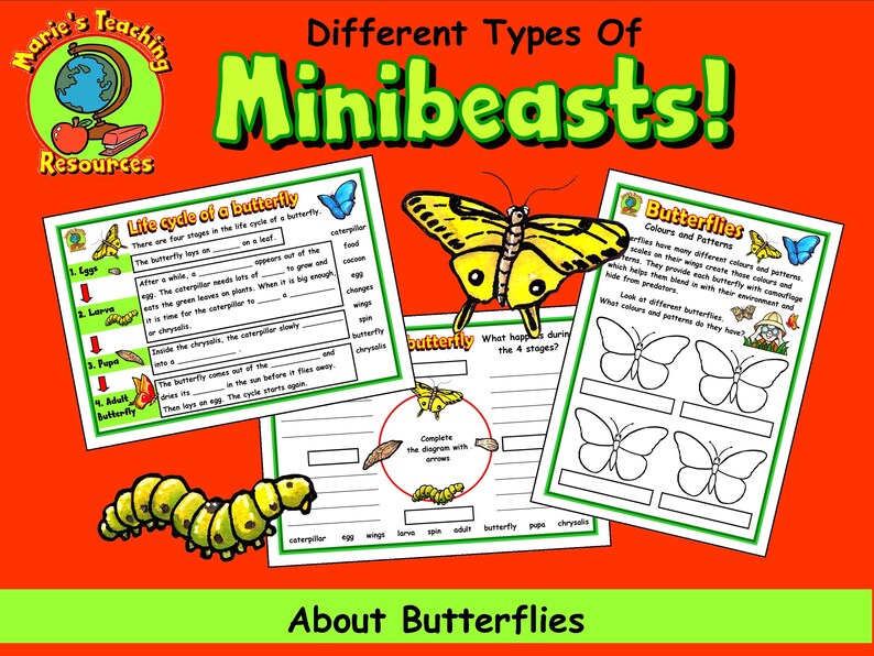 Minibeasts Insects Worksheets, Minibeasts Insects Features Habitats ...