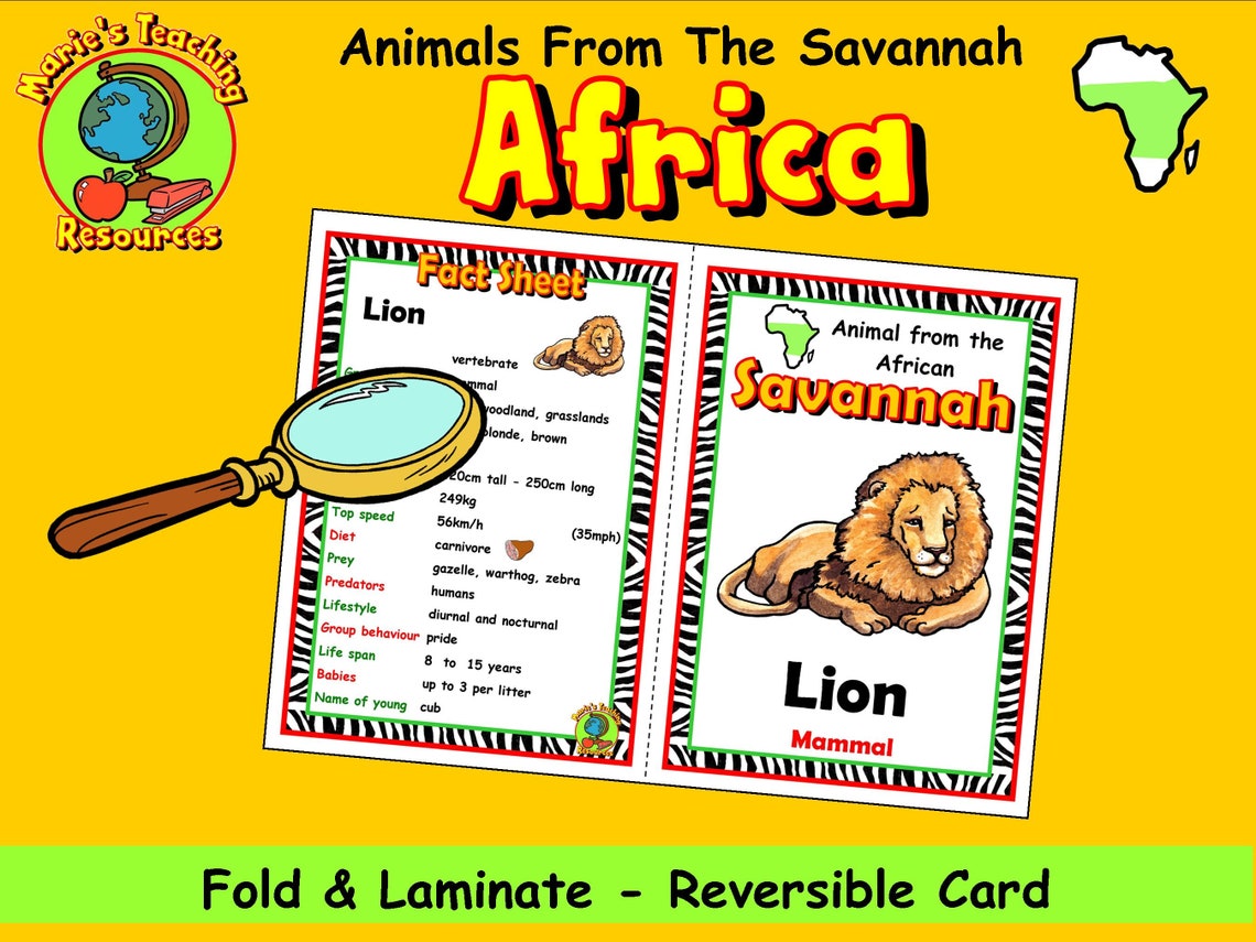 African Animals Fact Sheets, Names Groups Animal Classification Visual ...