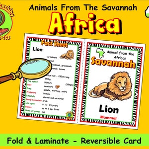 African Animals Fact Sheets, Names Groups Animal Classification Visual ...