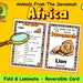 Animals From Africa Fact Sheets, Animals Flashcards, Science Animals ...