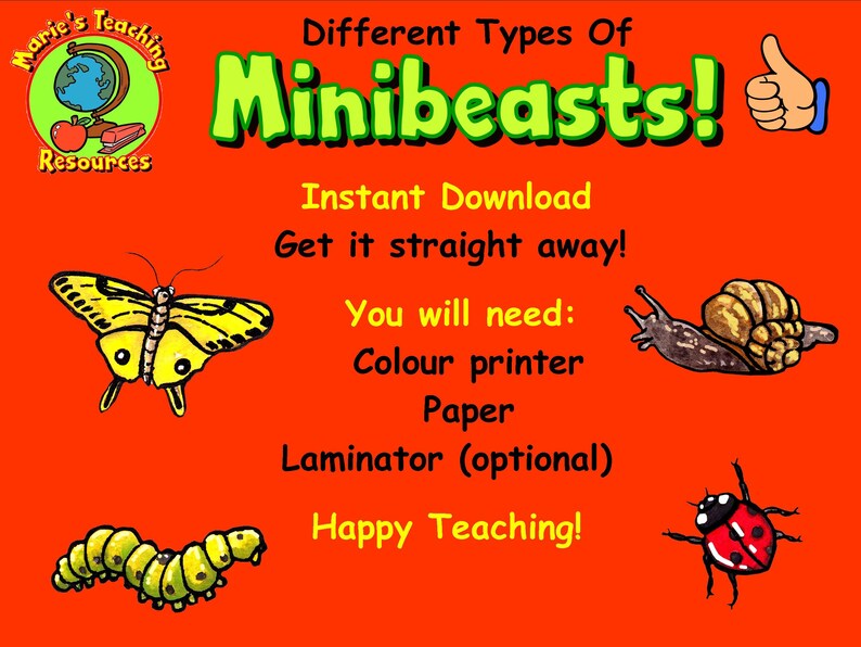 Minibeasts Insects Bingo Game, Sorting Matching Activity, Science ...