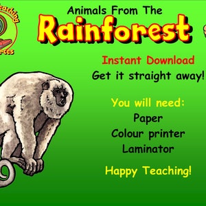 Animals Amazon Rainforest Fact Sheets, Features Diets Habitats, Science ...