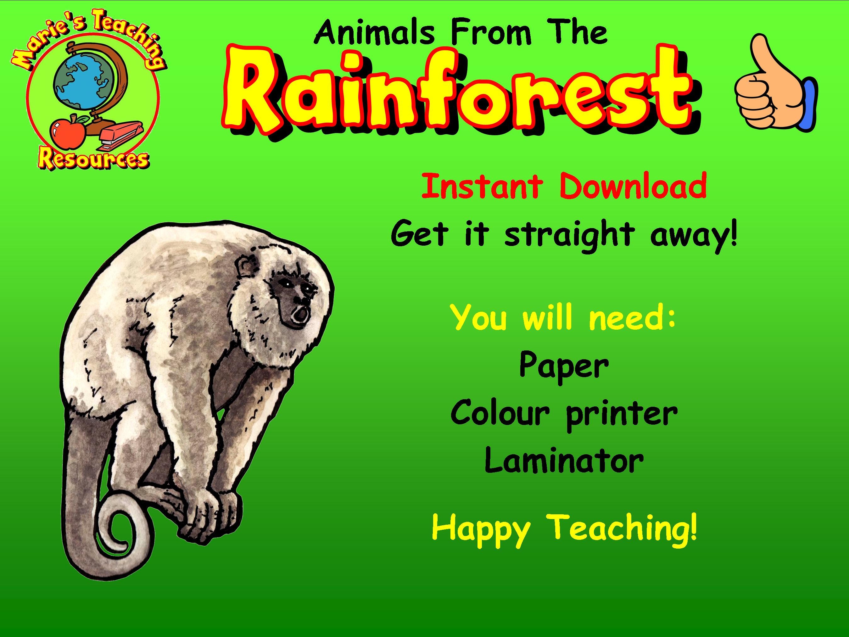 Animals Amazon Rainforest Fact Sheets, Animals Rainforest Visual Aid ...