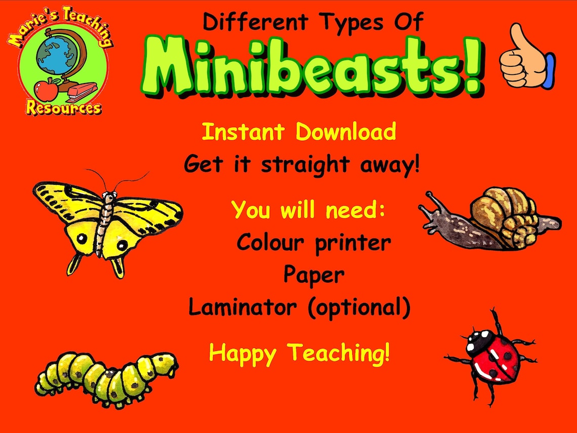 Minibeasts Insects Fact Sheets, Minibeasts Insects Visual Aid Posters ...