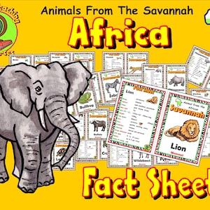 African Animals Fact Sheets, Names Groups Animal Classification Visual ...