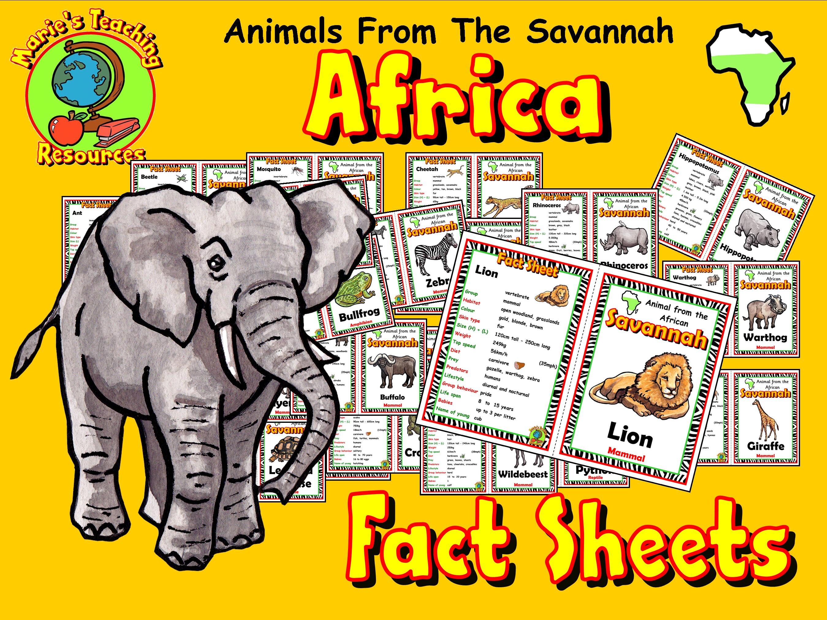 Animals From Africa Fact Sheets, Animals Flashcards, Science Animals ...