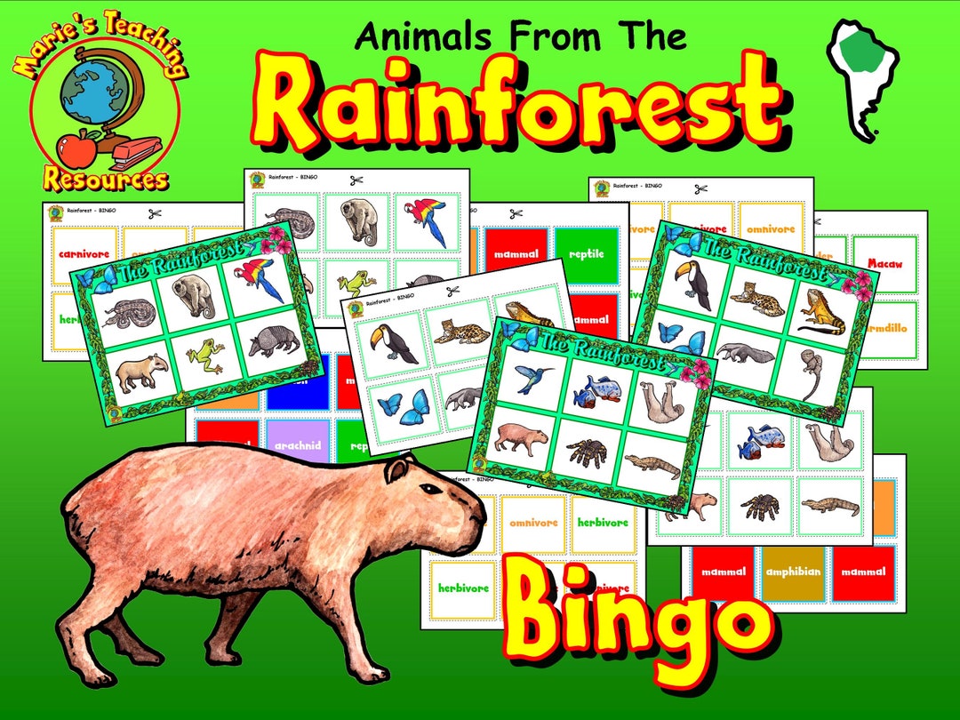 Animals Amazon Rainforest Teaching Resources, Matching Bingo Game ...