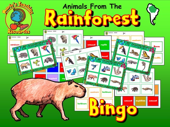 Amazon Rainforest Animals Bingo Game Rainforest Animals | Etsy