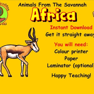 Animals From Africa Classification Posters, Animals Visual Aid Posters ...