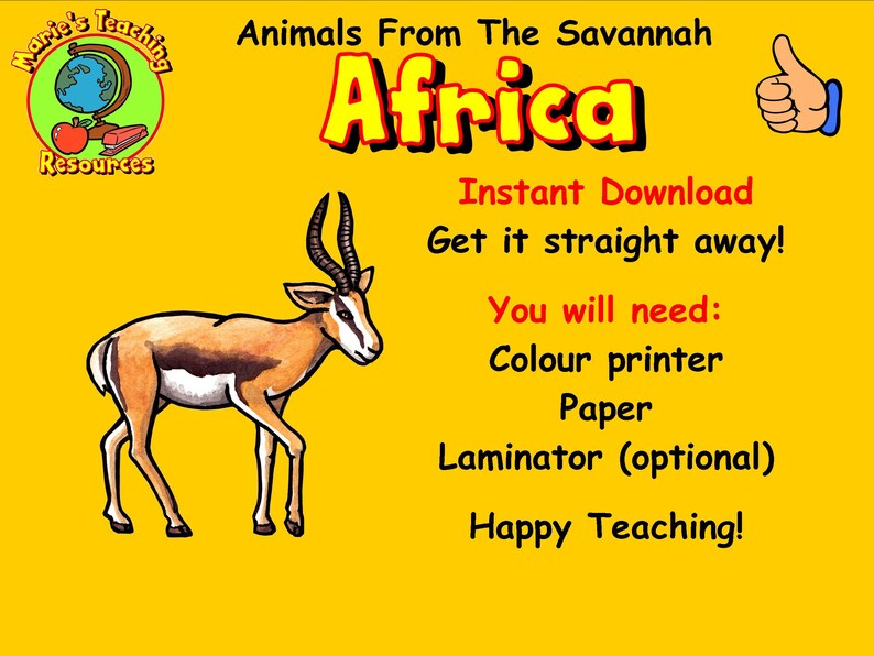Animals From Africa Classification Posters, Animals Visual Aid Posters ...