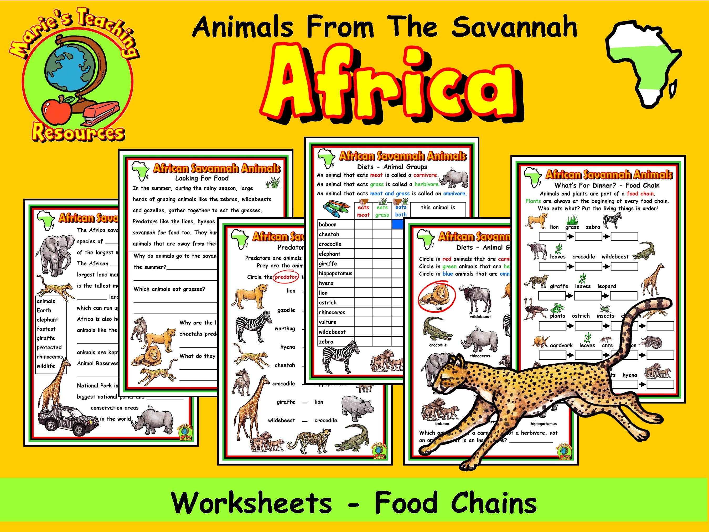 African Animals Habitat Food Chains, Animal Classification, Science ...