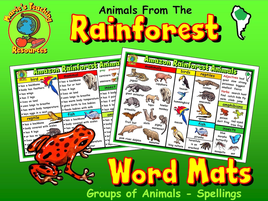 Amazon Rainforest Animals Word Mats, Amazon Rainforest Animals Visual ...