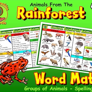 Amazon Rainforest Animals Word Mats, Amazon Rainforest Animals Visual Aid Posters, Science ...