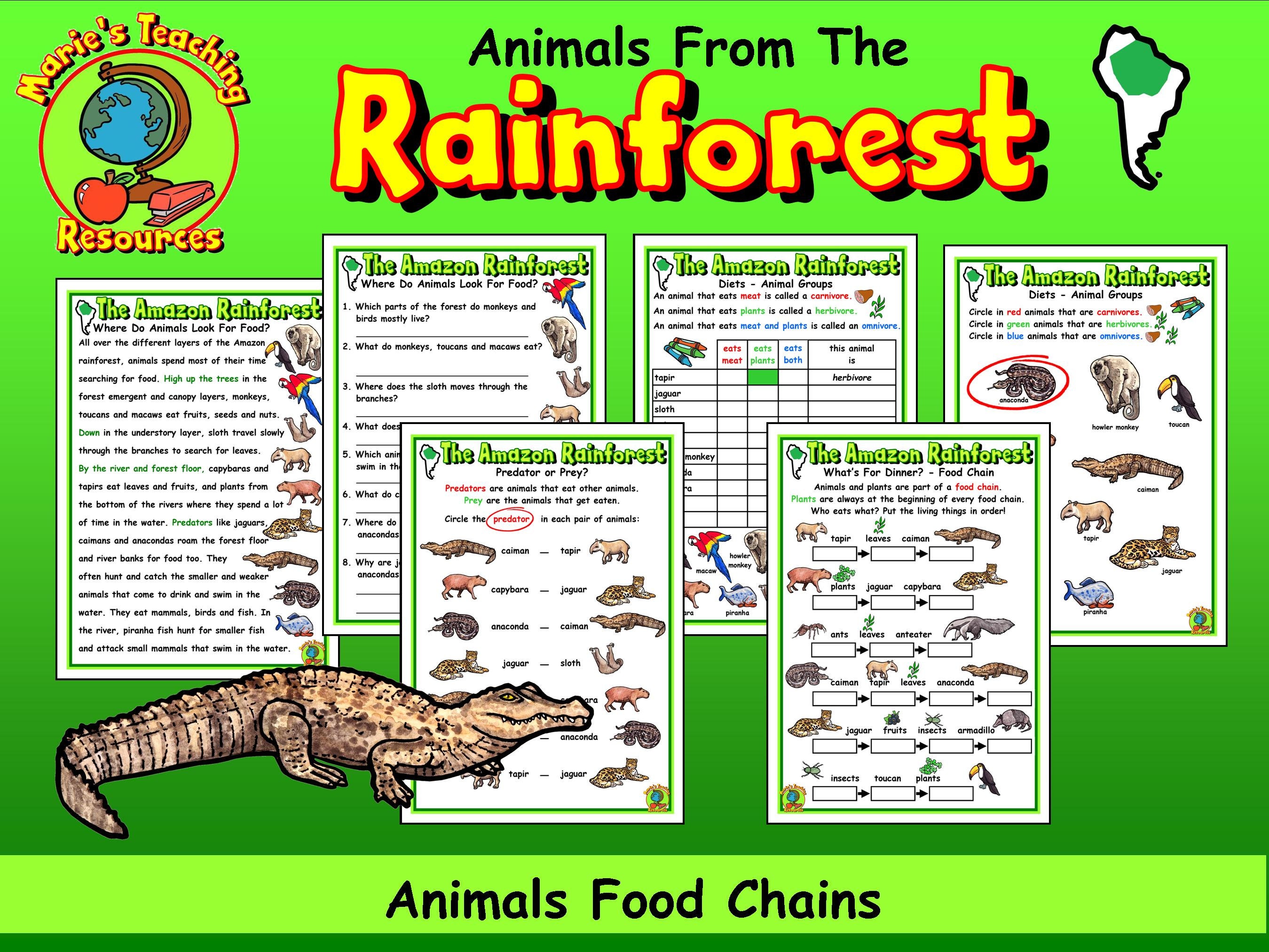 Amazon Rainforest Animals Worksheets, Science Animal Classification ...