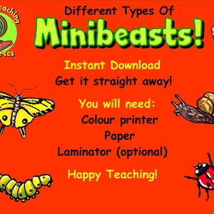 Minibeasts Insects Classification Posters, Writing Prompts, Science ...