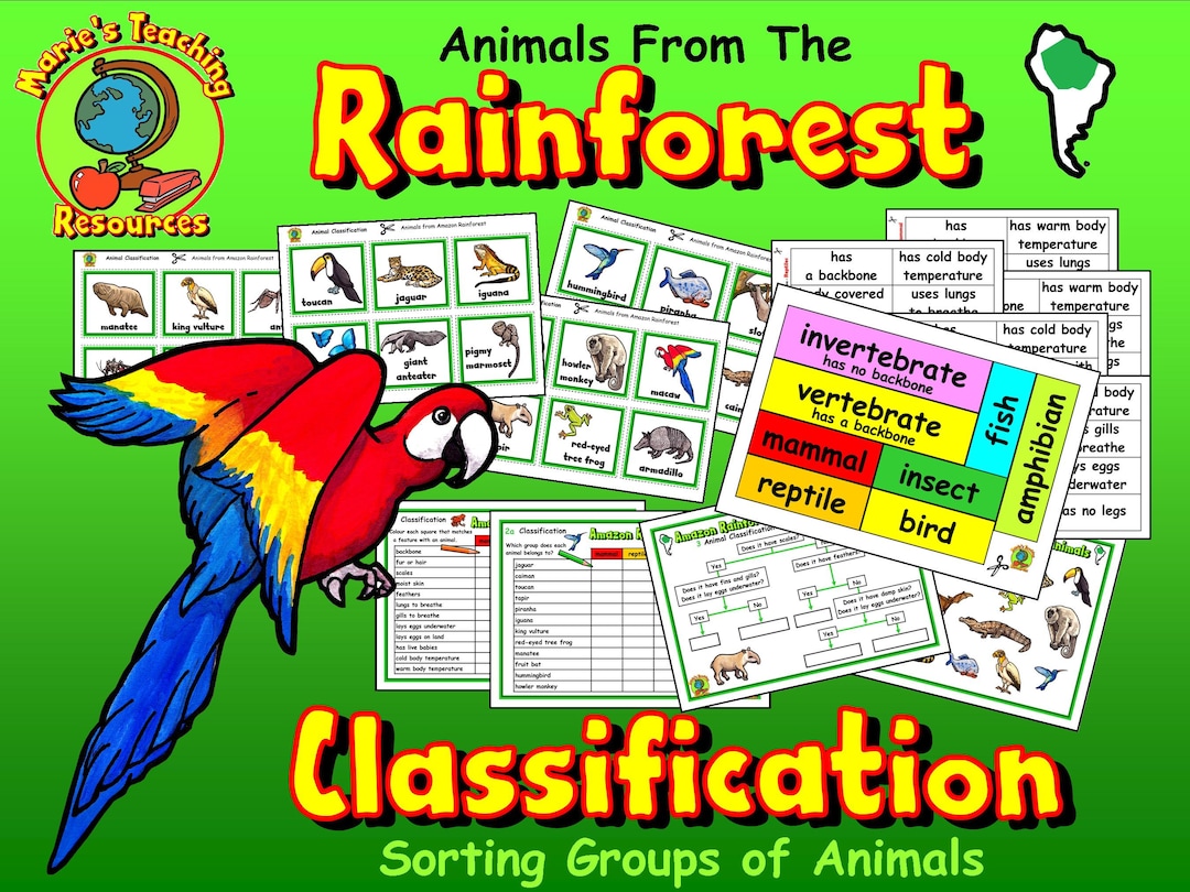Animals From the Amazon Rainforest Classification Sorting Activity ...