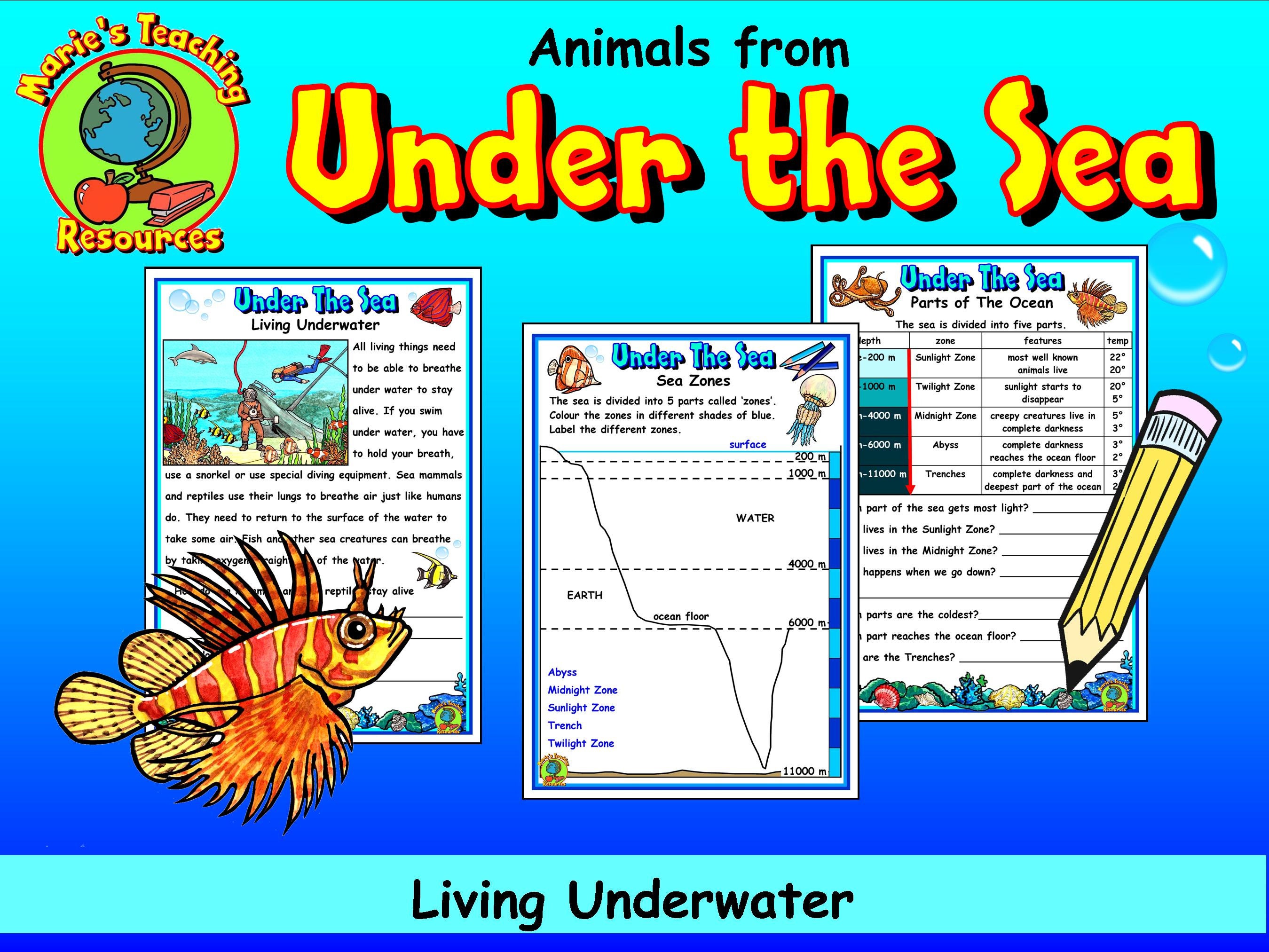 Under the Sea Worksheets, Ocean Sea Animals Teaching Resources, Science ...