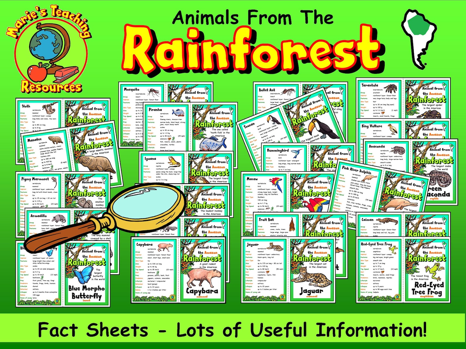 Animals Amazon Rainforest Fact Sheets, Features Diets Habitats, Science ...