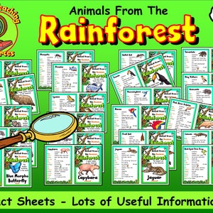 Animals Amazon Rainforest Fact Sheets, Features Diets Habitats, Science ...