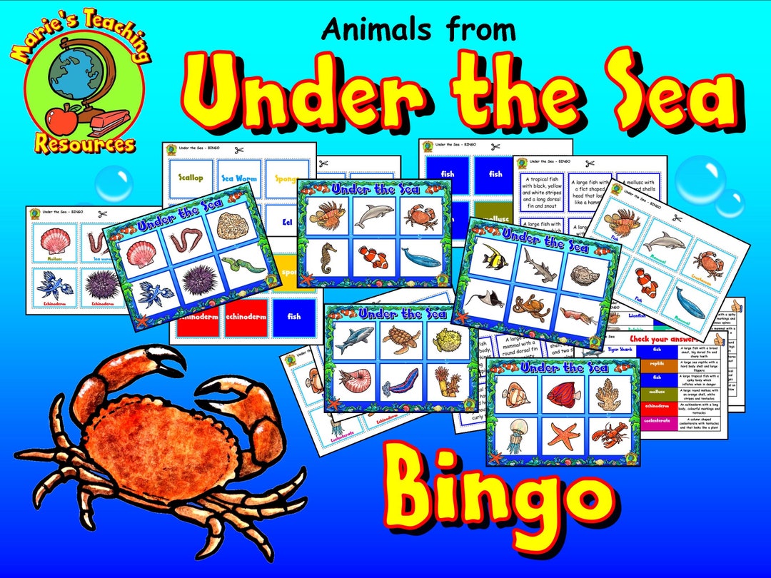 Under the Sea Bingo Game, Ocean Sea Animals Matching Activity, Science ...