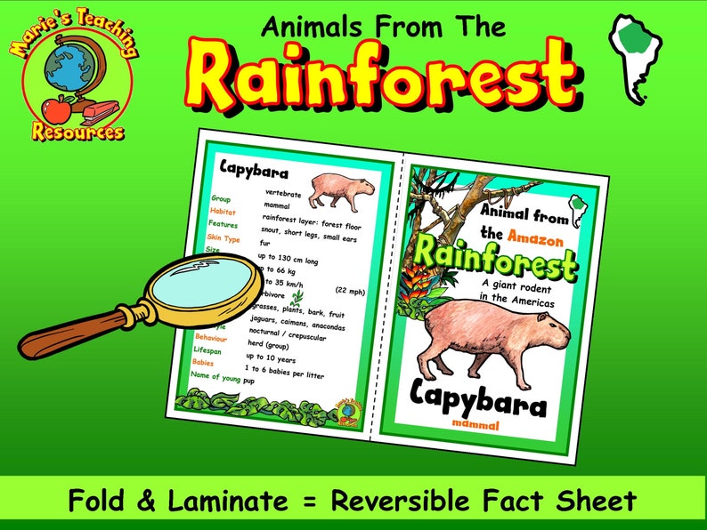 Animals Amazon Rainforest Fact Sheets, Features Diets Habitats, Science ...