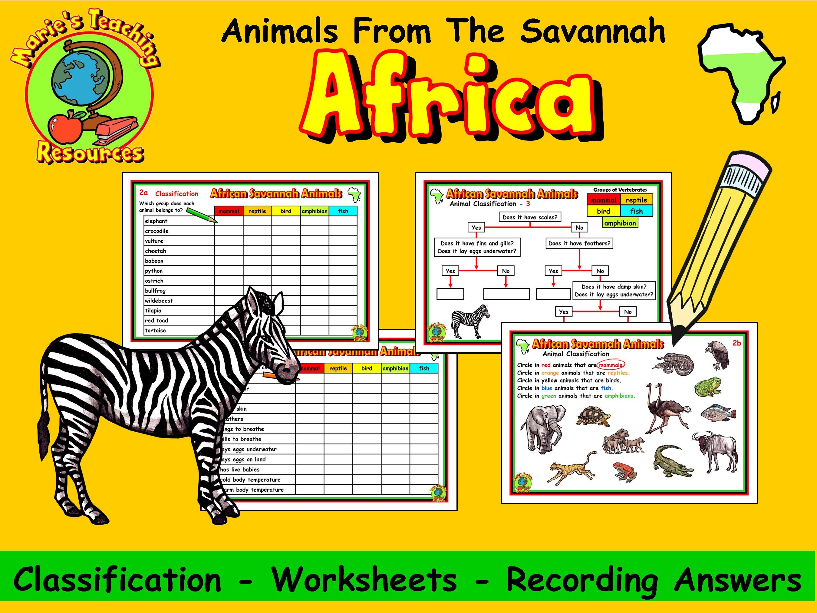 Animals From Africa Classification Sorting Activity, Animals Teaching ...