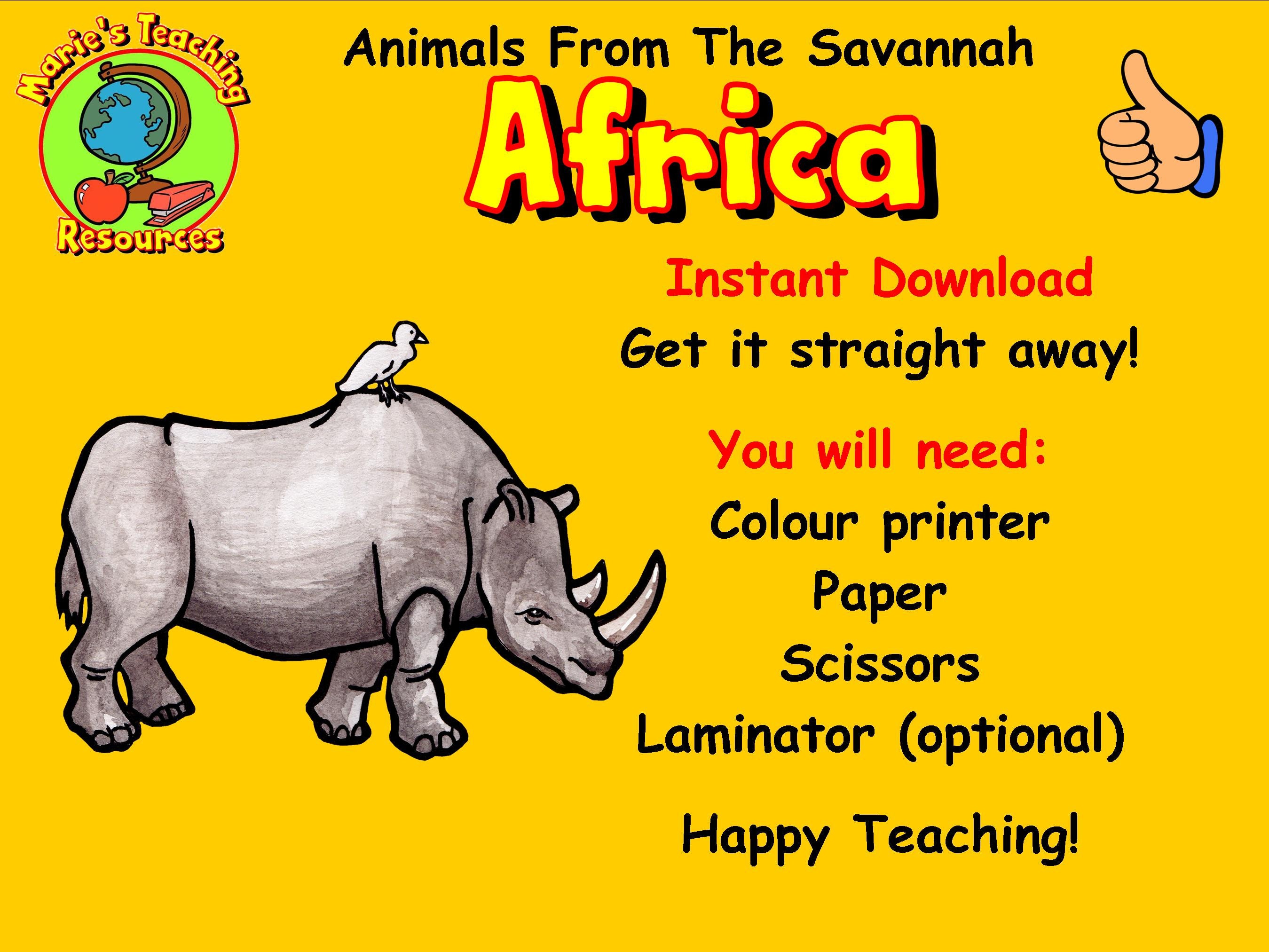 Animals From Africa Classification Sorting Activity, Animals Teaching ...