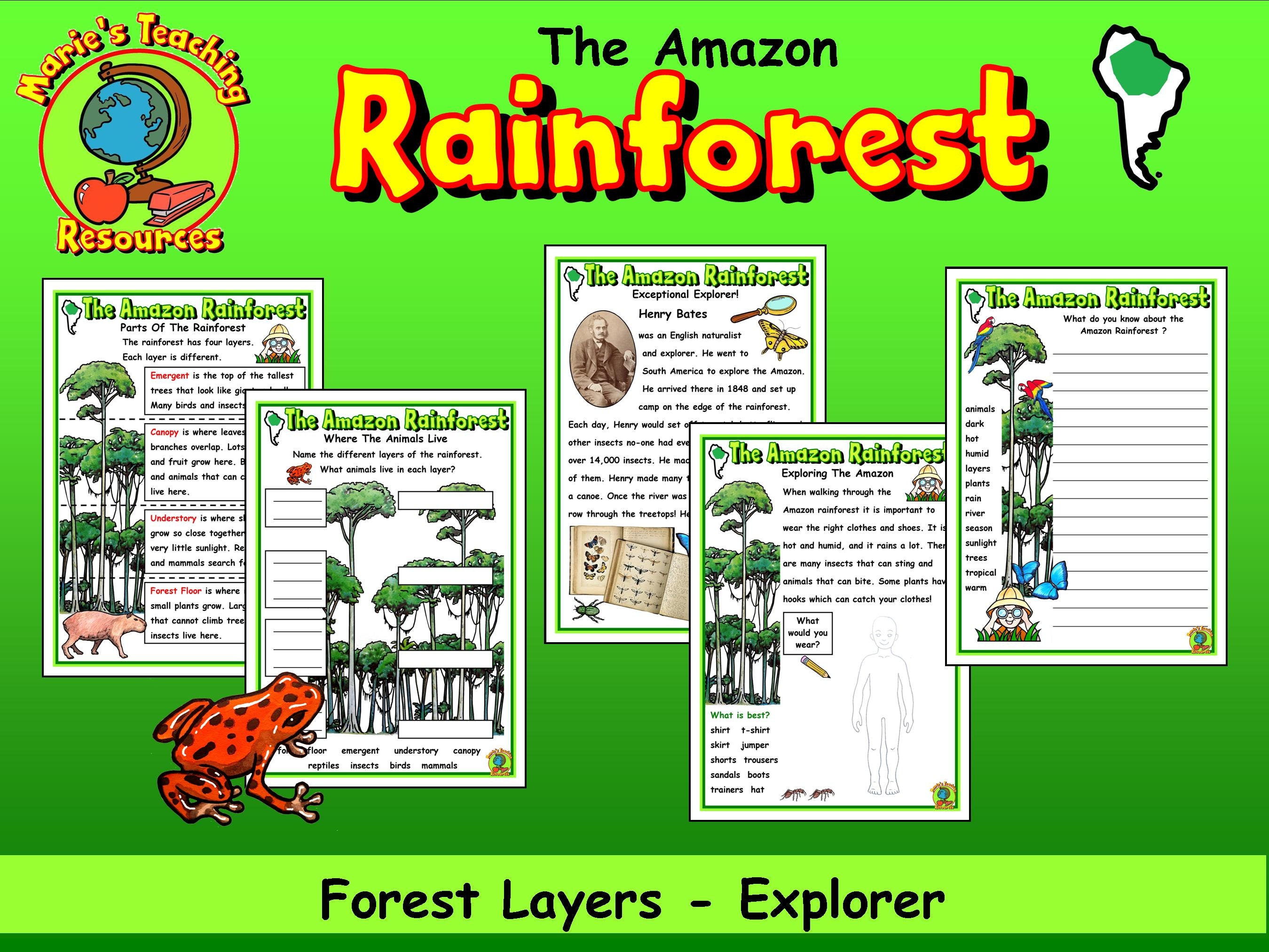 Amazon Rainforest Worksheets, Geography Climate and Environment ...