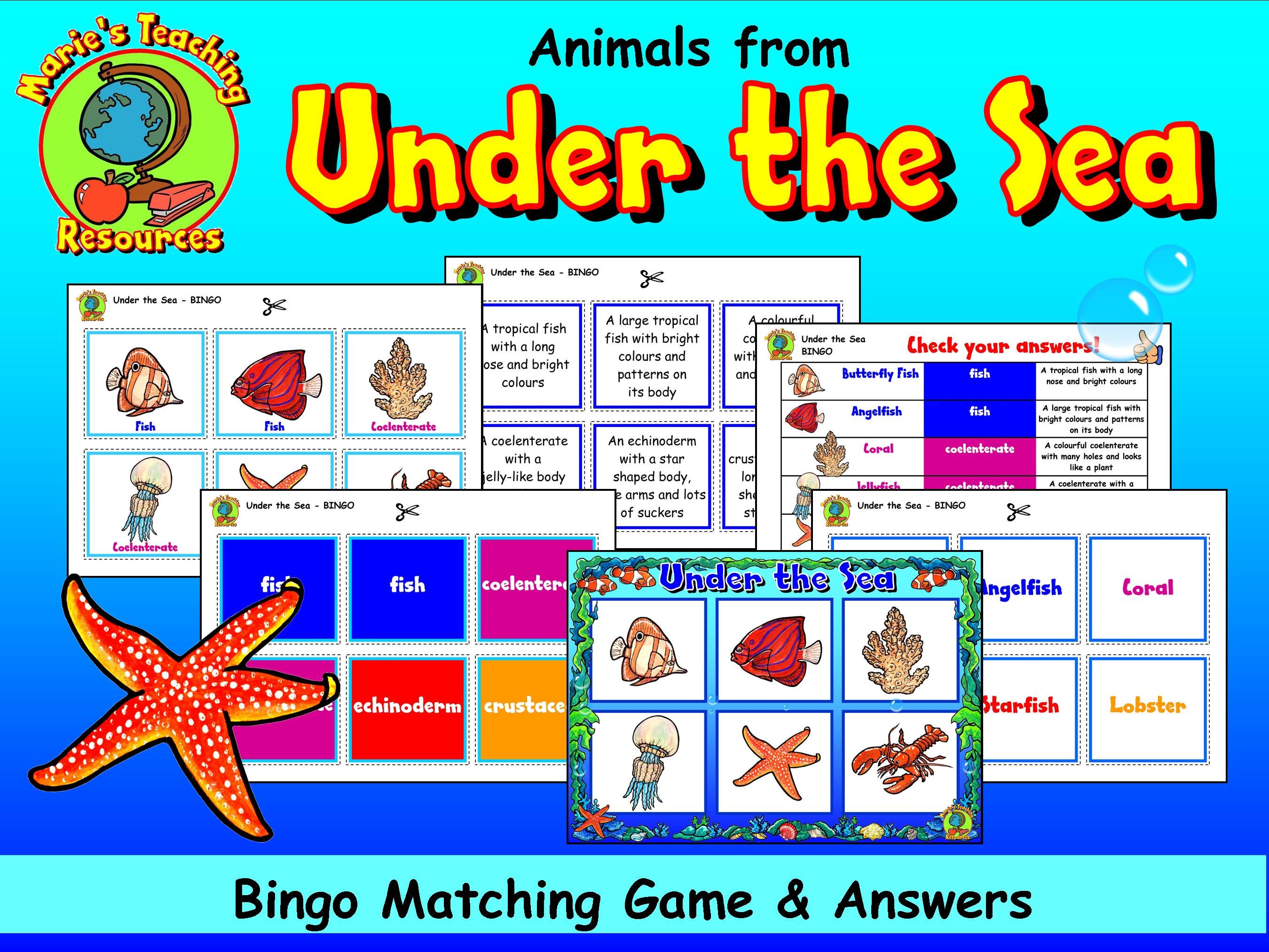 Under the Sea Bingo Game, Ocean Sea Animals Matching Activity, Science ...