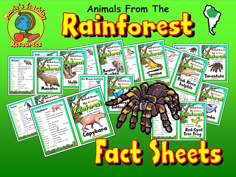 Animals Amazon Rainforest Fact Sheets, Features Diets Habitats, Science ...