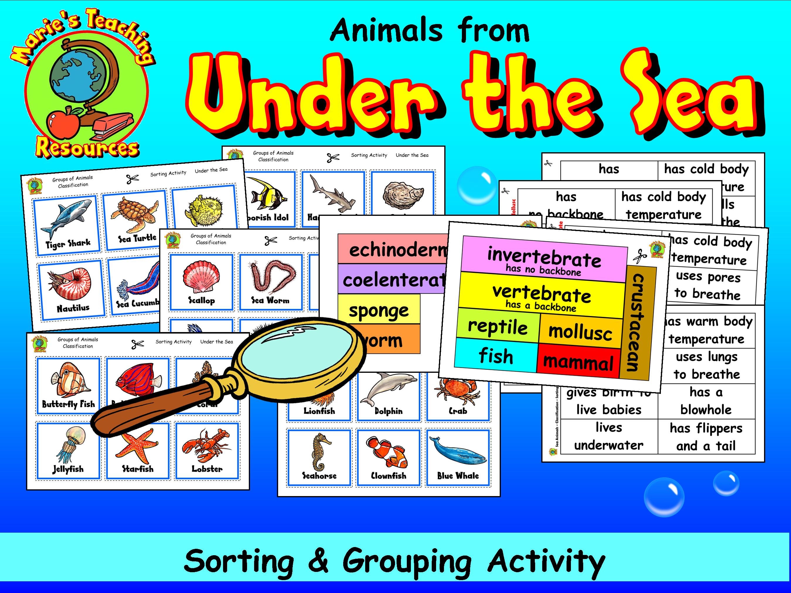 Under the Sea Animal Classification Sorting Activity, Science Animal ...