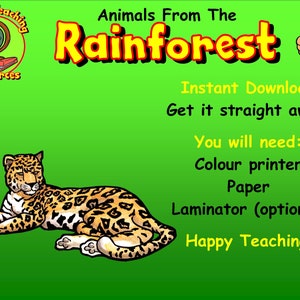 Amazon Rainforest Animals Classification Posters Rainforest - Etsy