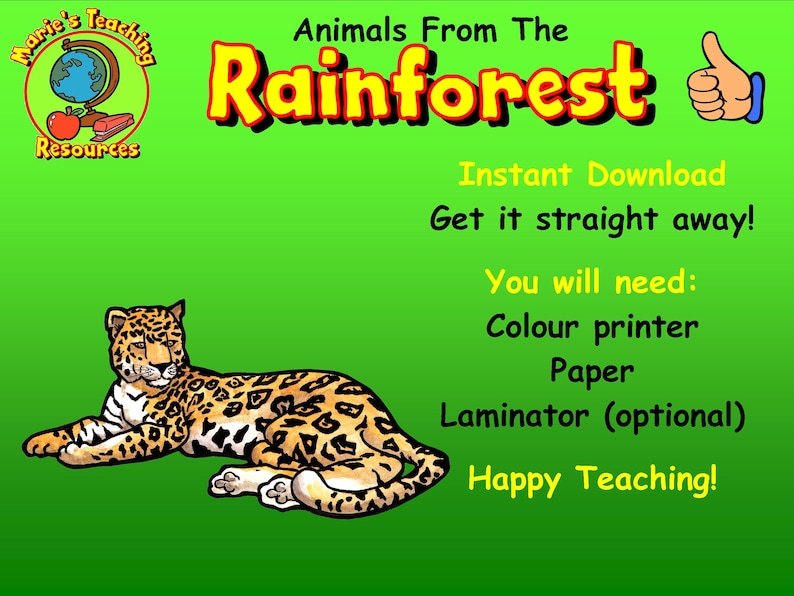 Animals Amazon Rainforest Posters, Animal Classification Visual Aid ...