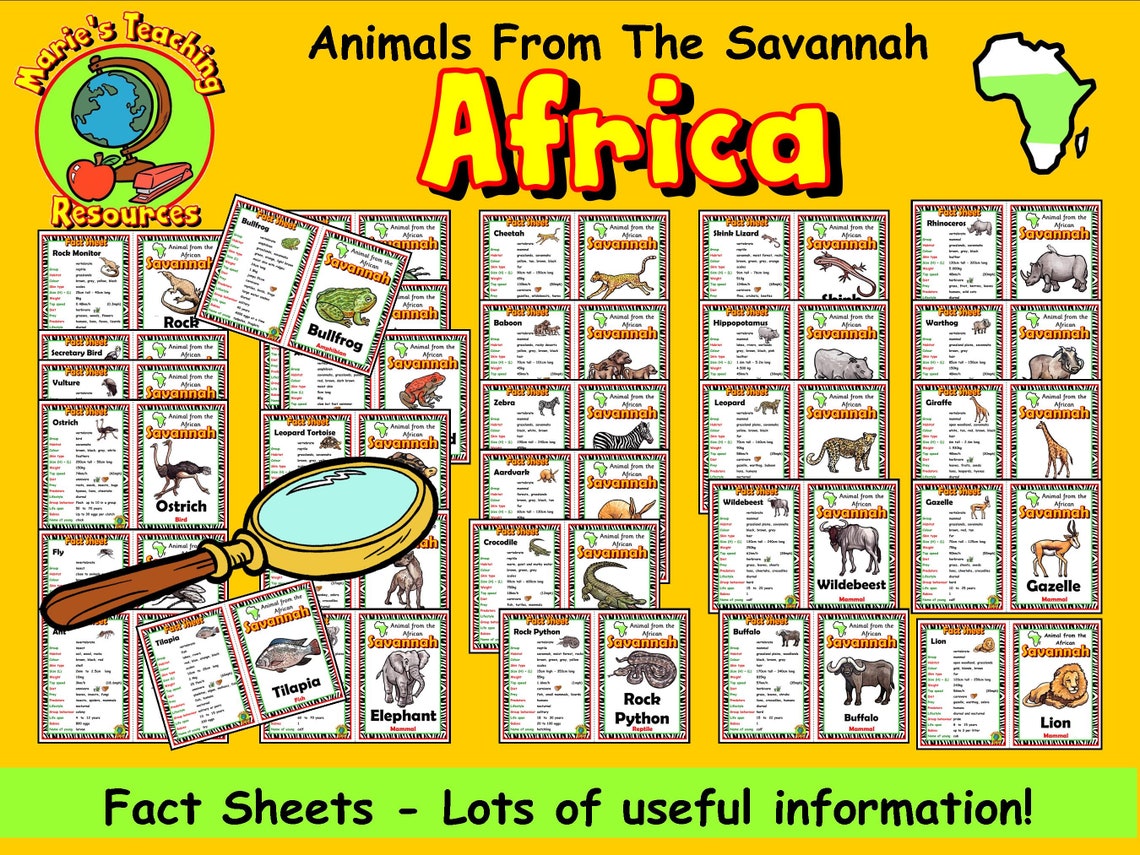 African Animals Fact Sheets, Names Groups Animal Classification Visual ...