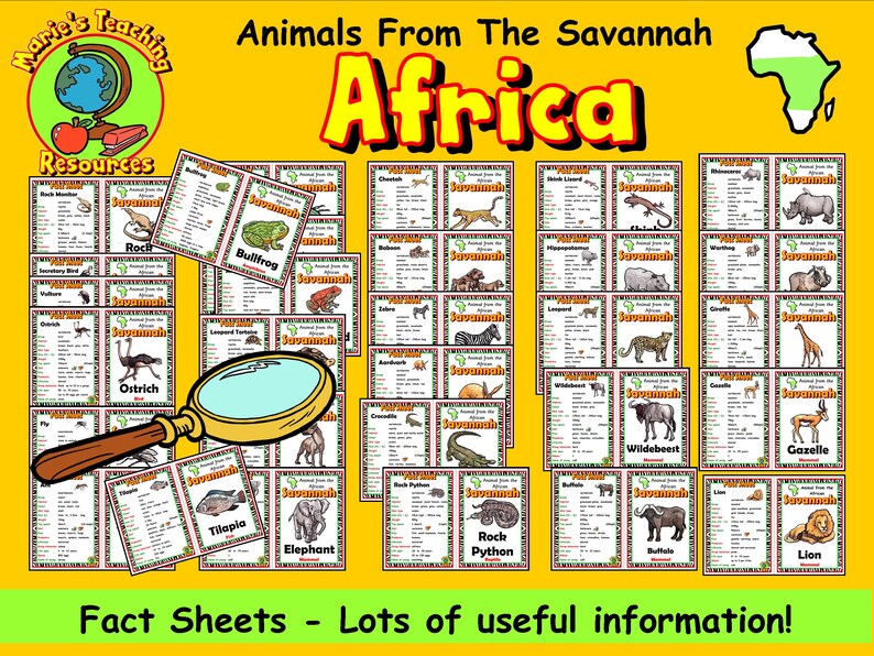 Animals From Africa Fact Sheets, Animals Flashcards, Science Animals ...