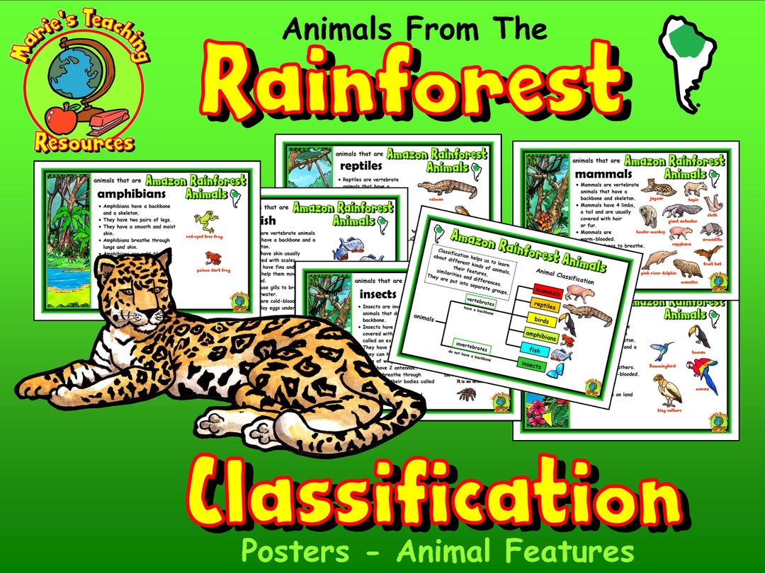 Animals Amazon Rainforest Posters, Animal Classification Visual Aid ...